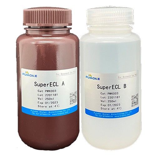 特超敏ECL发光底物检测试剂盒（低阿克级）-湖北普美生物科技有限公司